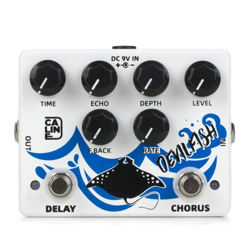 Caline Devilfish Dual Chorus and Delay Review – Guitars For Idiots