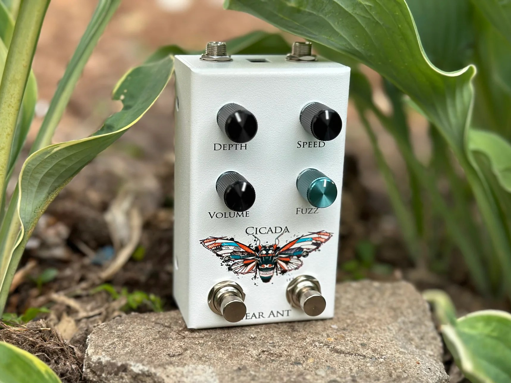 Gear Ant’s Cicada Fuzz + Phaser Pedal Is Pure Madness – Guitars For Idiots